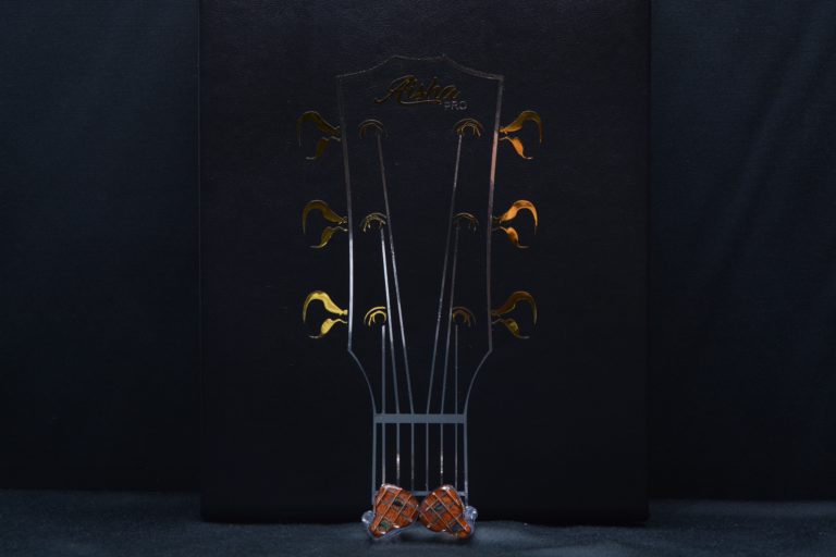 【新製品】#flipears より、プロ向けにも最適なIEM「AISHA Pro (Universal Fit)」が登場!!【12/4(土)発売】 - イヤホン・ヘッドホン専門店eイヤホンのブログ