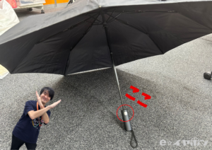 【レビュー！】FlipearsのAURORAをMNGしましたのでご報告させていただきます - イヤホン・ヘッドホン専門店eイヤホンのブログ